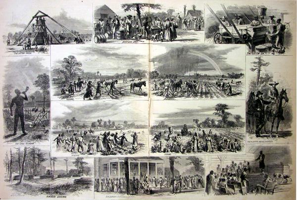 Scenes on a cotton plantation [graphic]. | Library Company of ...