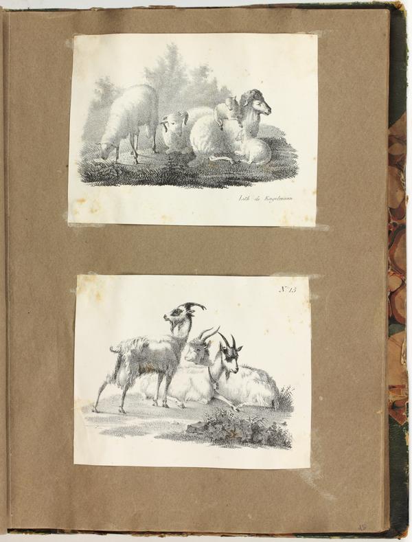 p. 25 | Library Company of Philadelphia Digital Collections