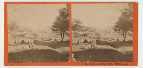 Fishbach neck. [graphic] / Photographed by A.M. Allen, Pottsville, Penna. | Library Company of ...