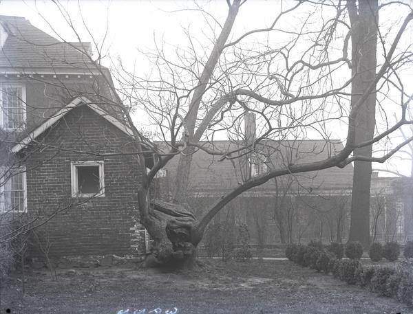Stenton, side view and part of garden. [graphic]. | Library Company of ...